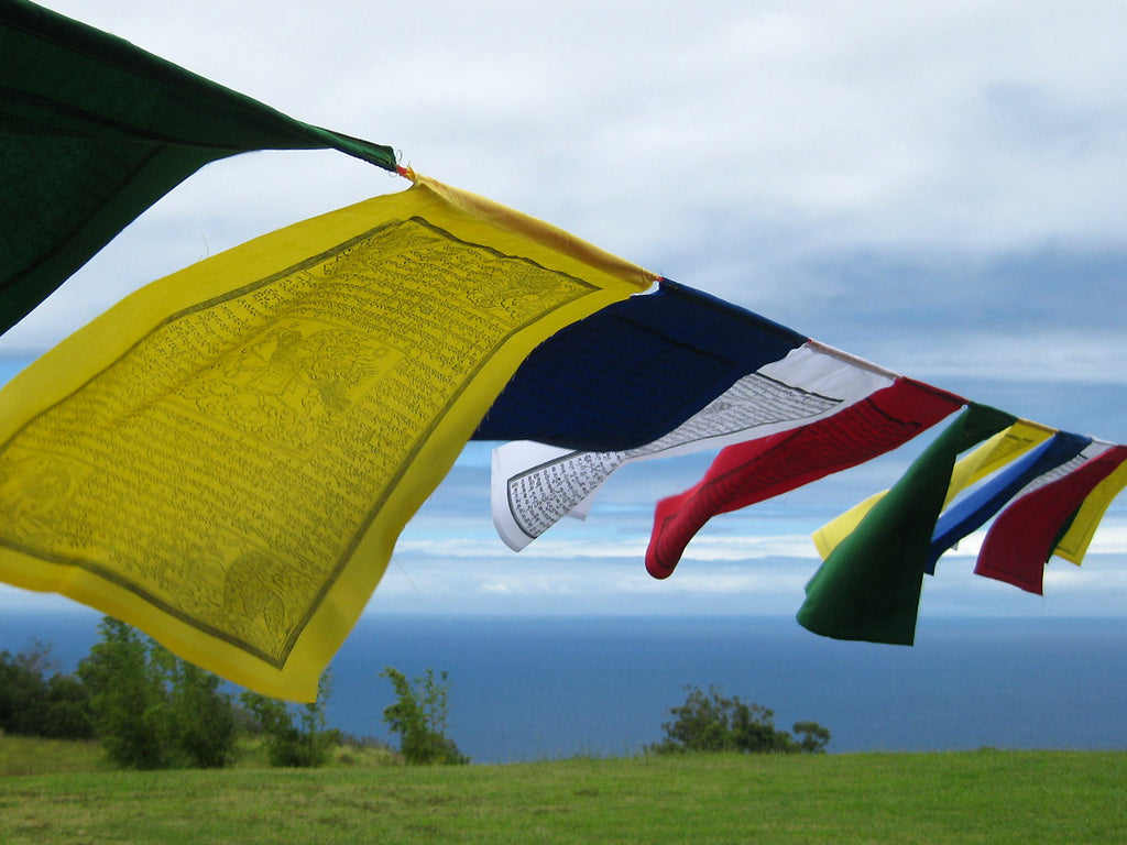 The Karmapa Dream Flag is the Victorious Flag of the Buddha's Wisdom ...